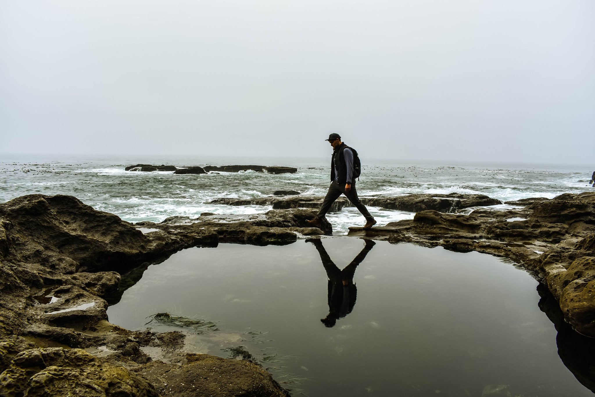 Adventure Guide to Port Renfrew - Seek to sea more